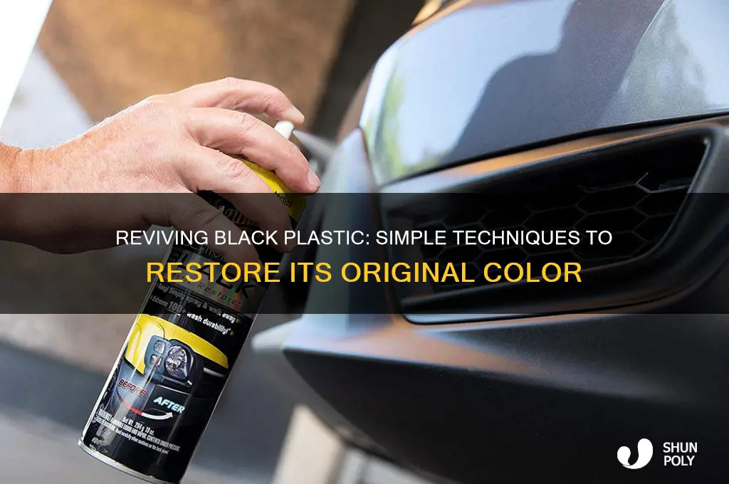 Reviving Black Plastic: Simple Techniques To Restore Its Original Color ...