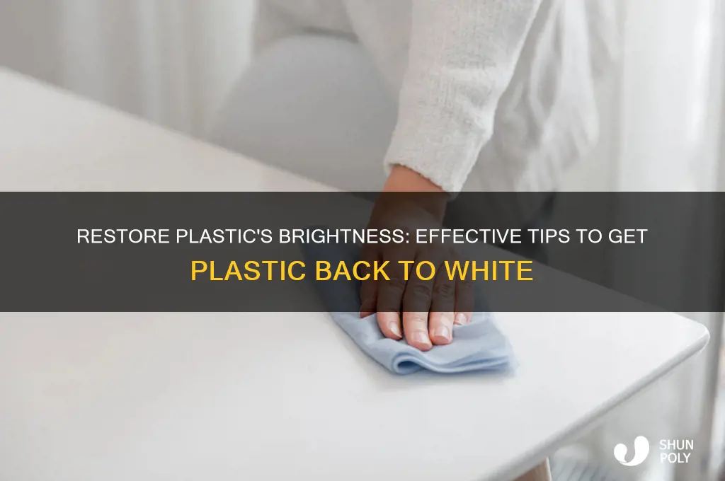 Restore Plastic's Brightness: Effective Tips To Get Plastic Back To ...