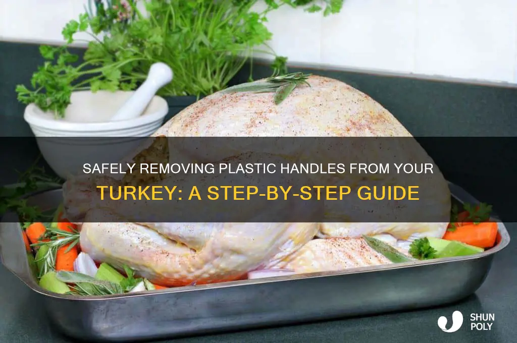 Safely Removing Plastic Handles From Your Turkey: A Step-By-Step Guide ...