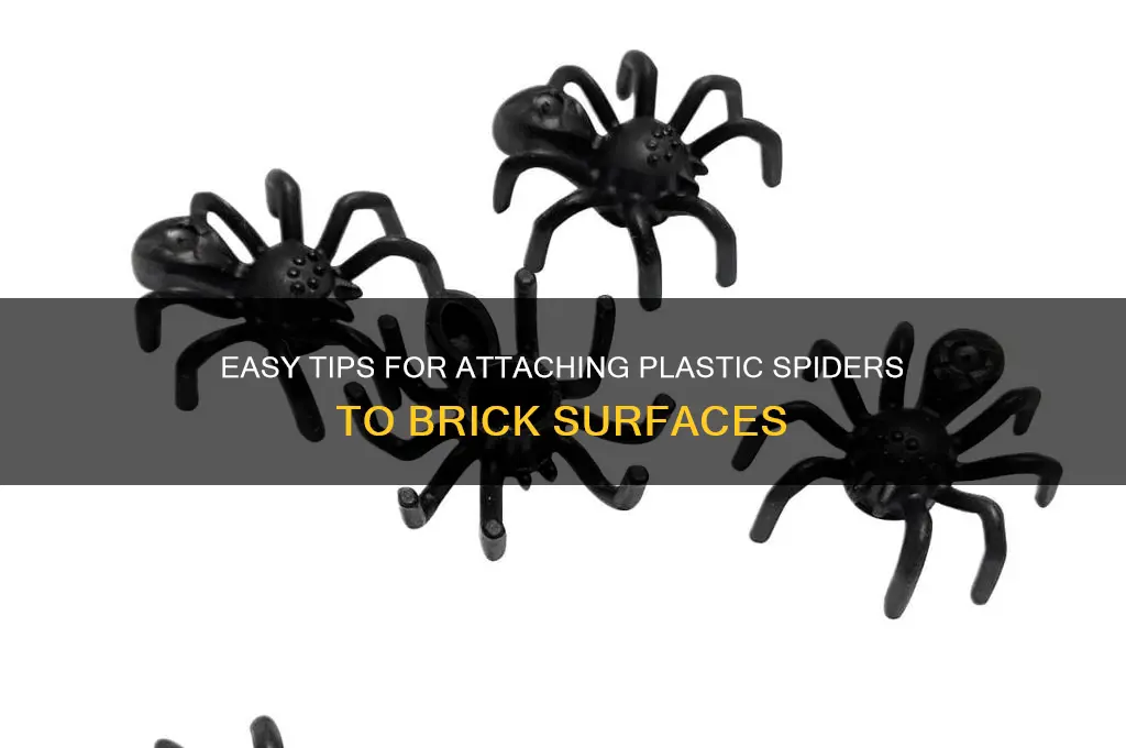 Easy Tips For Attaching Plastic Spiders To Brick Surfaces | ShunPoly