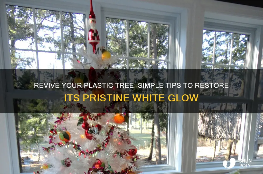 Revive Your Plastic Tree: Simple Tips To Restore Its Pristine White ...