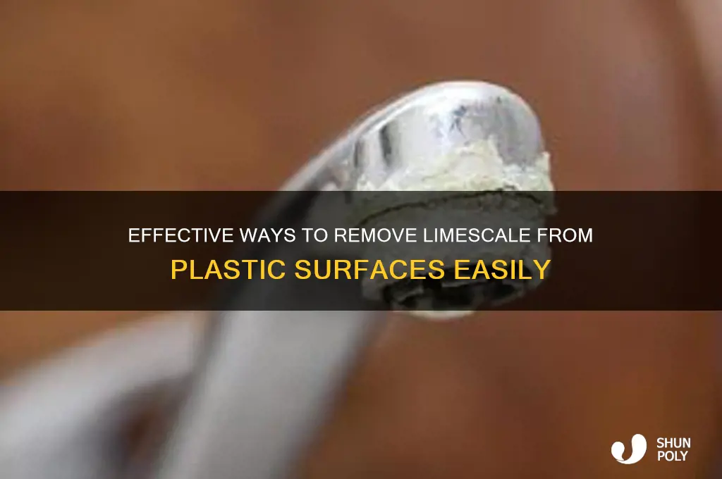 Effective Ways To Remove Limescale From Plastic Surfaces Easily | ShunPoly