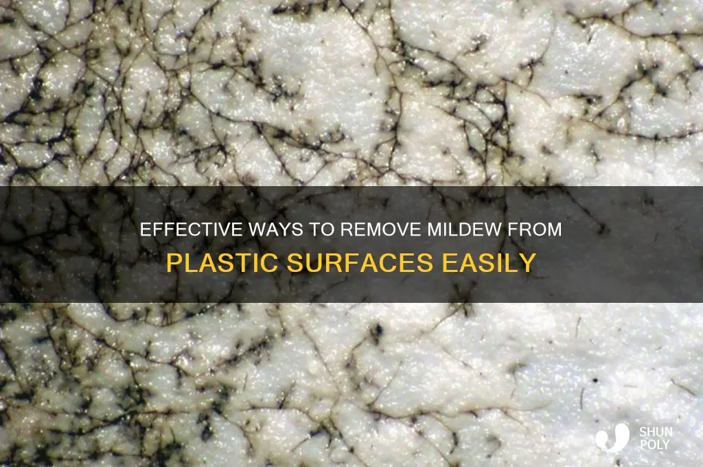 Effective Ways To Remove Mildew From Plastic Surfaces Easily | ShunPoly