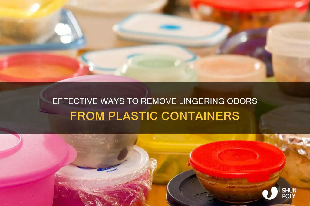 Effective Ways To Remove Lingering Odors From Plastic Containers | ShunPoly