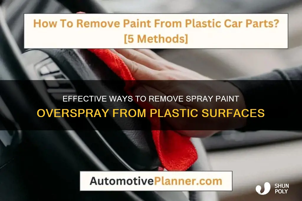 Effective Ways To Remove Spray Paint Overspray From Plastic Surfaces ...