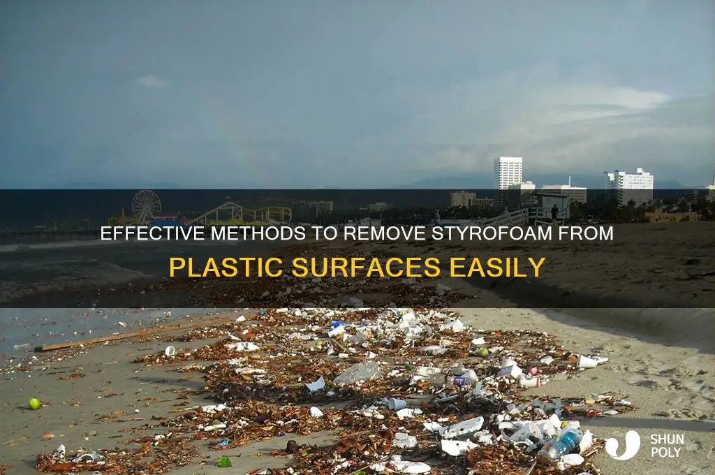 Effective Methods To Remove Styrofoam From Plastic Surfaces Easily ...