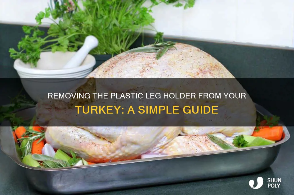Removing The Plastic Leg Holder From Your Turkey: A Simple Guide | ShunPoly