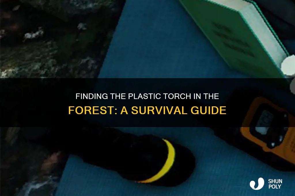 Finding The Plastic Torch In The Forest: A Survival Guide | ShunPoly