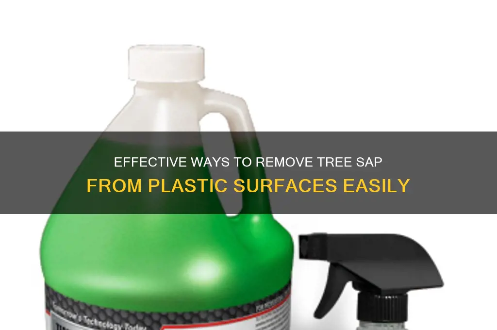Effective Ways To Remove Tree Sap From Plastic Surfaces Easily | ShunPoly