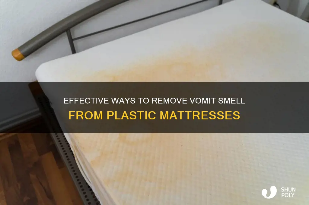 How To Get Vomit Smell Out Of Mattress