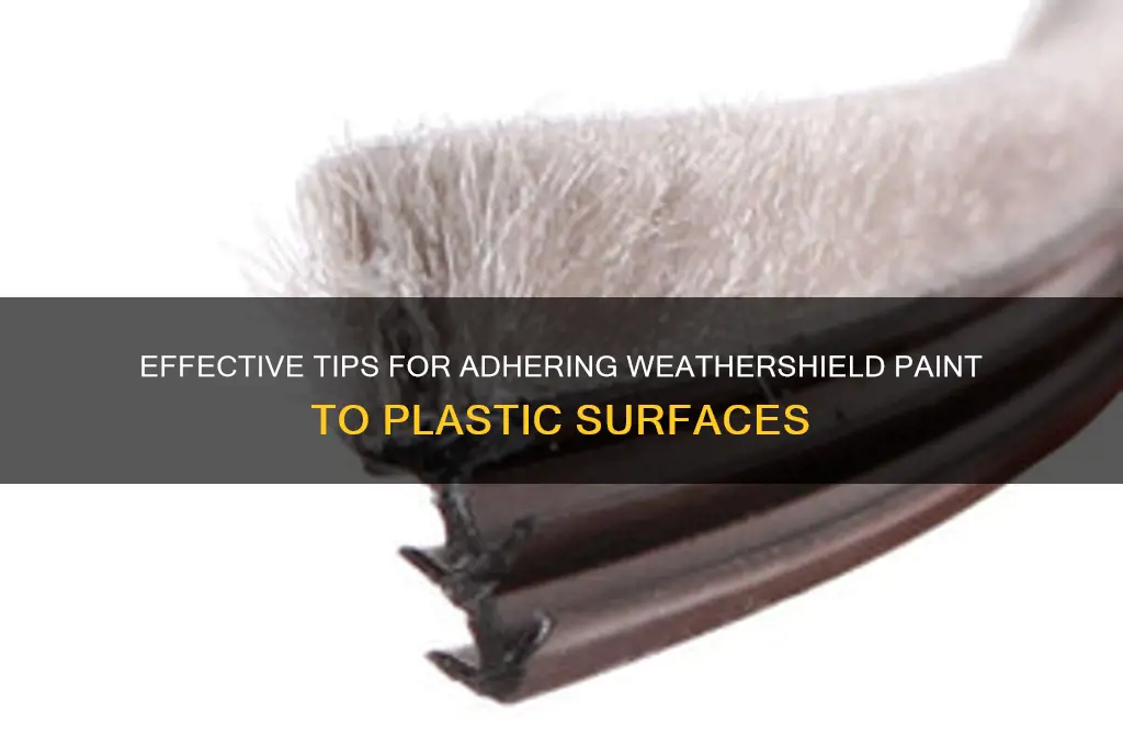 Effective Tips For Adhering Weathershield Paint To Plastic Surfaces ...