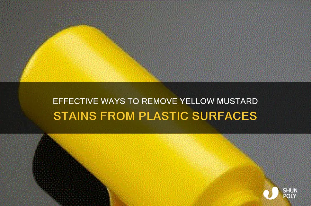 Effective Ways To Remove Yellow Mustard Stains From Plastic Surfaces ...