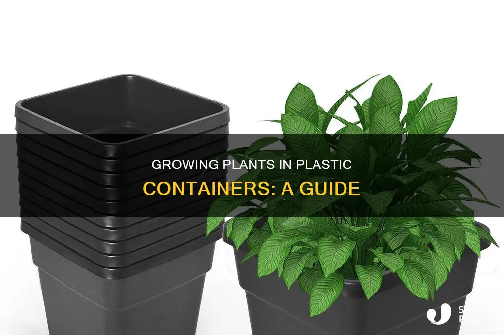 Growing Plants In Plastic Containers: A Guide | ShunPoly