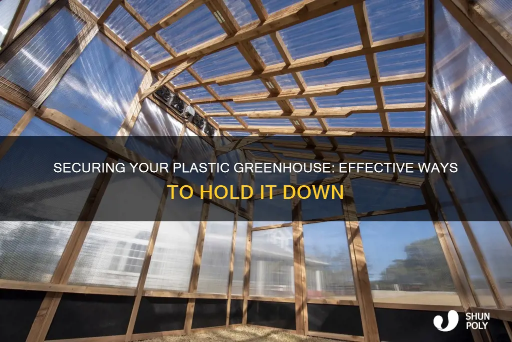 Securing Your Plastic Greenhouse: Effective Ways To Hold It Down | ShunPoly