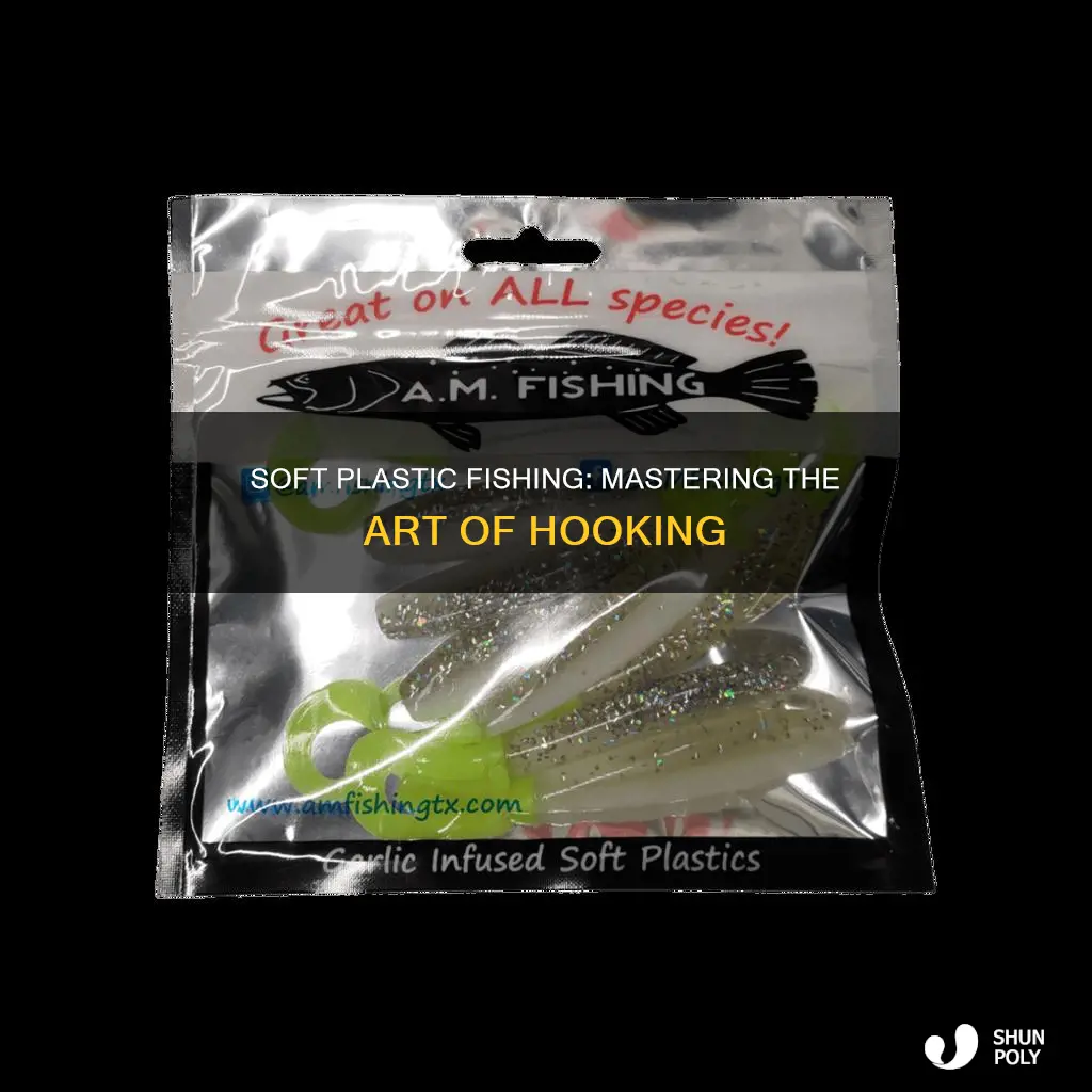 Soft Plastic Fishing: Mastering The Art Of Hooking | ShunPoly
