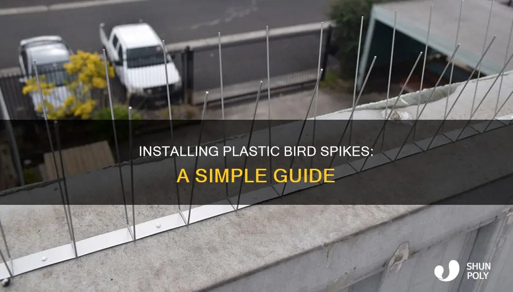 Installing Plastic Bird Spikes: A Simple Guide | ShunPoly