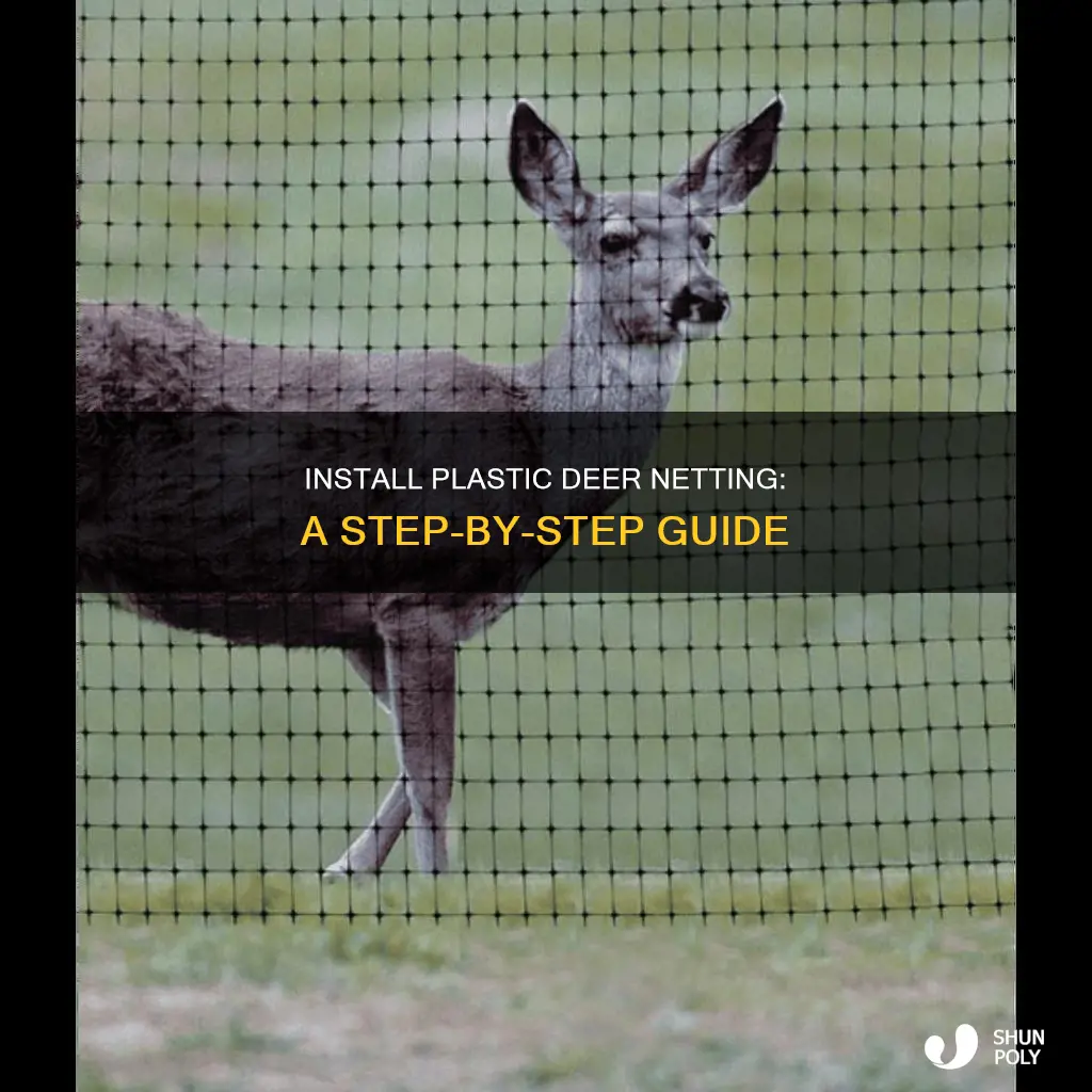 Install Plastic Deer Netting: A Step-By-Step Guide | ShunPoly