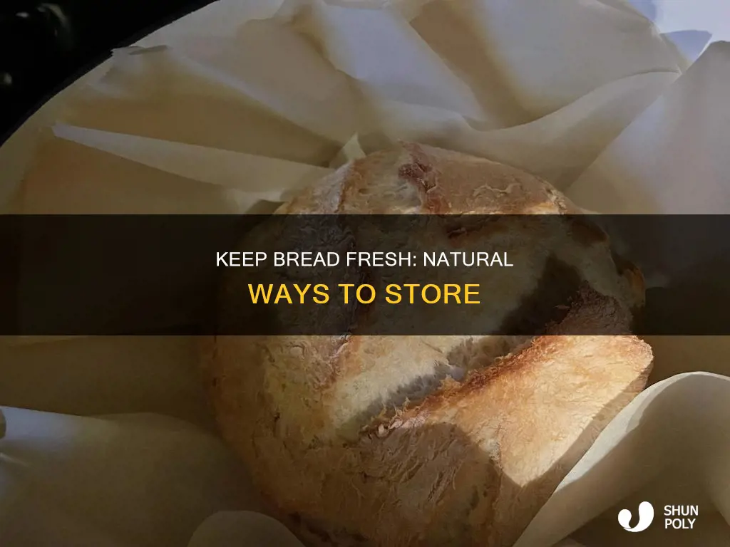 Keep Bread Fresh: Natural Ways To Store | ShunPoly