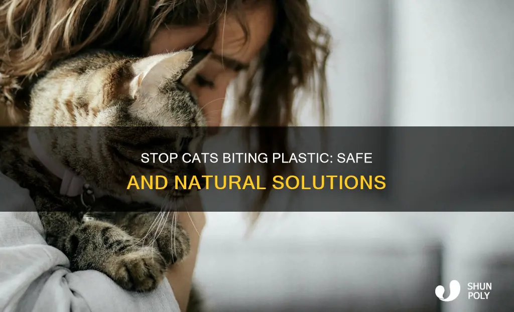 Stop Cats Biting Plastic: Safe And Natural Solutions | ShunPoly