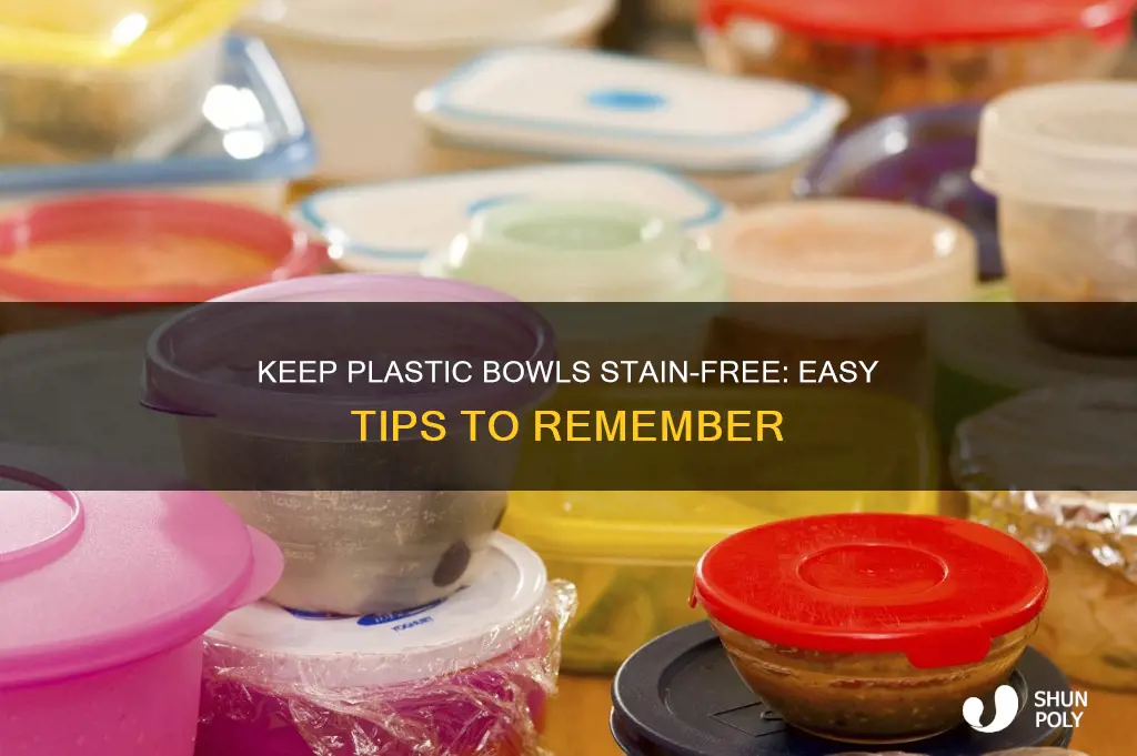 Keep Plastic Bowls Stain-Free: Easy Tips To Remember | ShunPoly