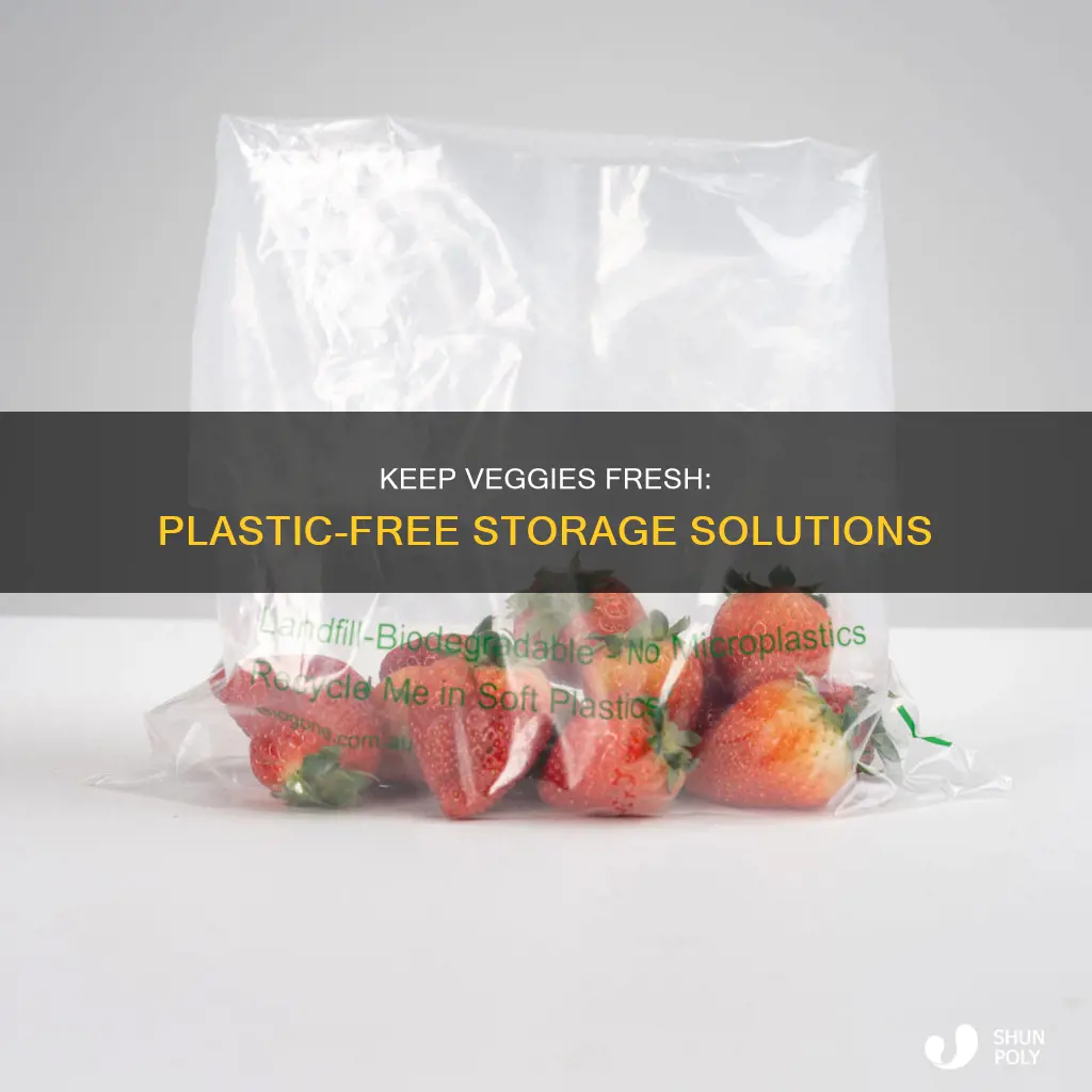 Keep Veggies Fresh: Plastic-Free Storage Solutions | ShunPoly