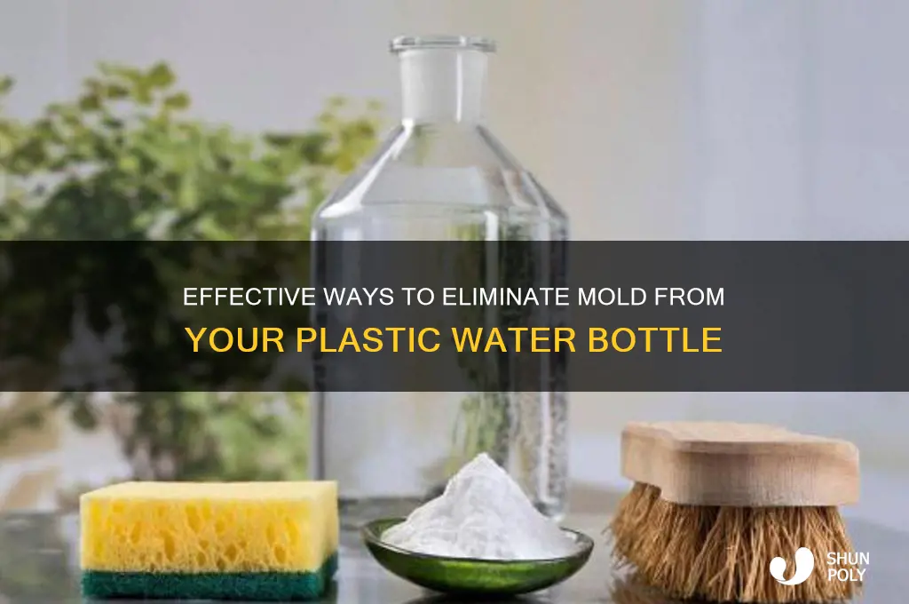 Effective Ways To Eliminate Mold From Your Plastic Water Bottle | ShunPoly