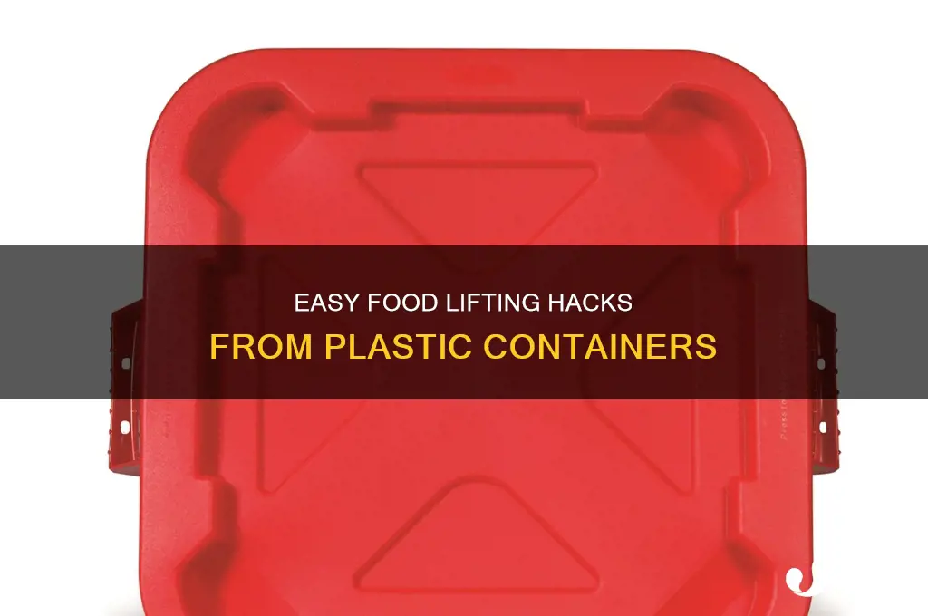 Easy Food Lifting Hacks From Plastic Containers | ShunPoly