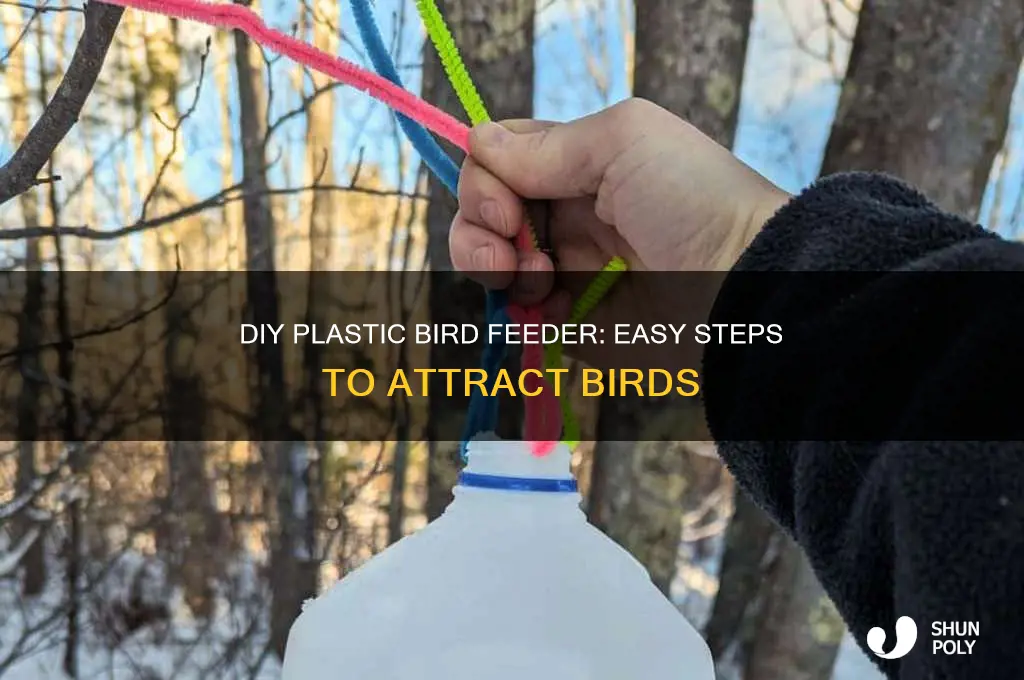 Diy Plastic Bird Feeder: Easy Steps To Attract Birds | ShunPoly