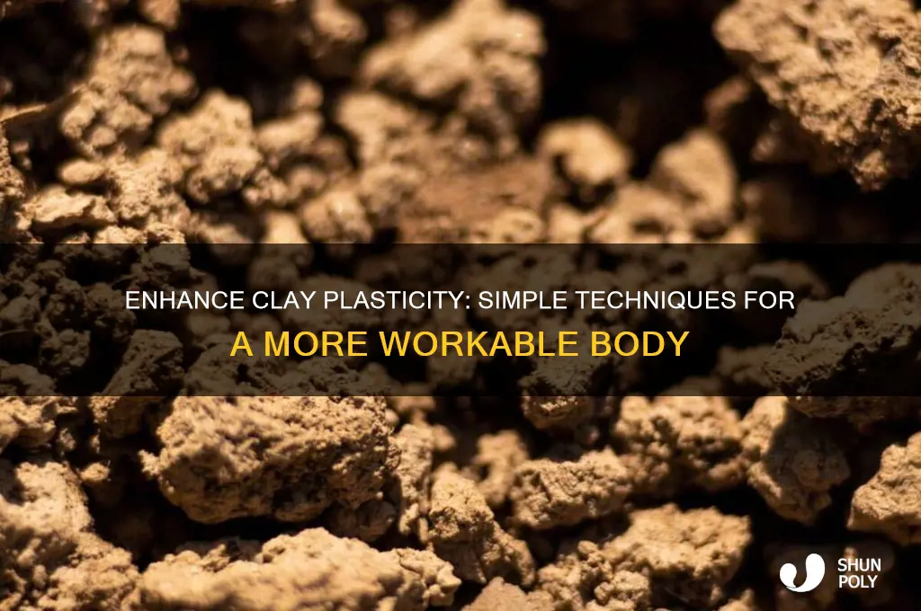Enhance Clay Plasticity: Simple Techniques For A More Workable Body ...