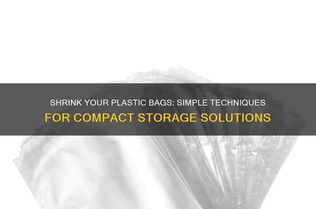 Shrink Your Plastic Bags: Simple Techniques For Compact Storage ...