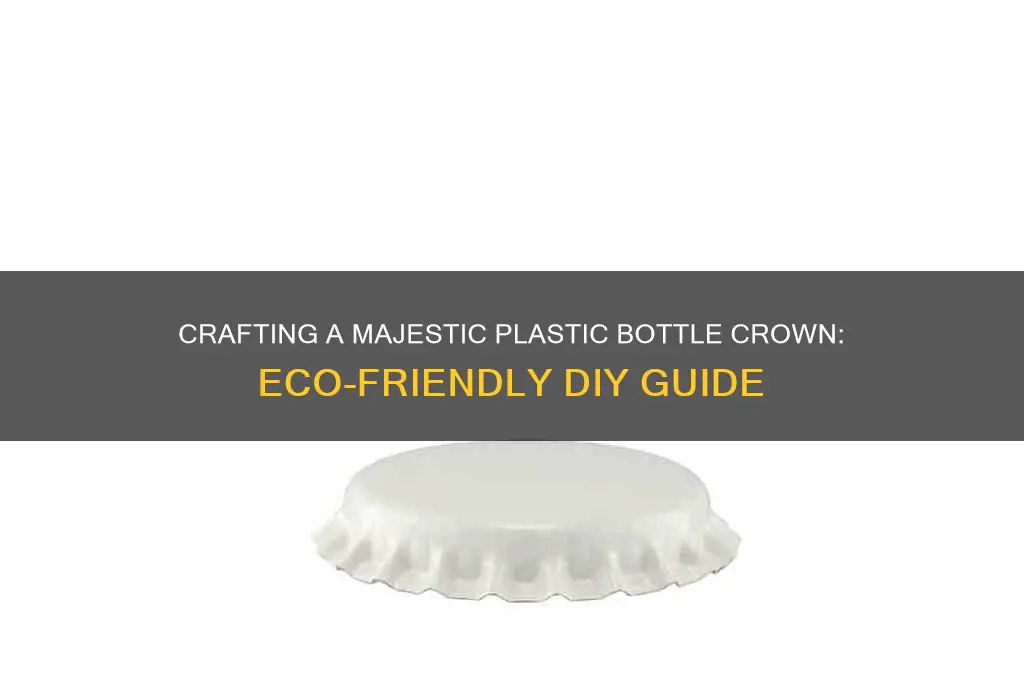 Crafting A Majestic Plastic Bottle Crown: Eco-Friendly Diy Guide | ShunPoly