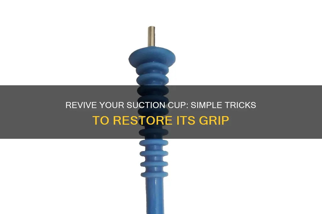Revive Your Suction Cup: Simple Tricks To Restore Its Grip | ShunPoly