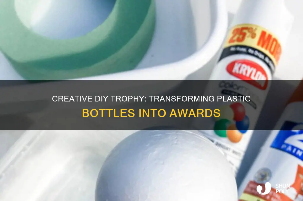 Creative Diy Trophy: Transforming Plastic Bottles Into Awards | ShunPoly
