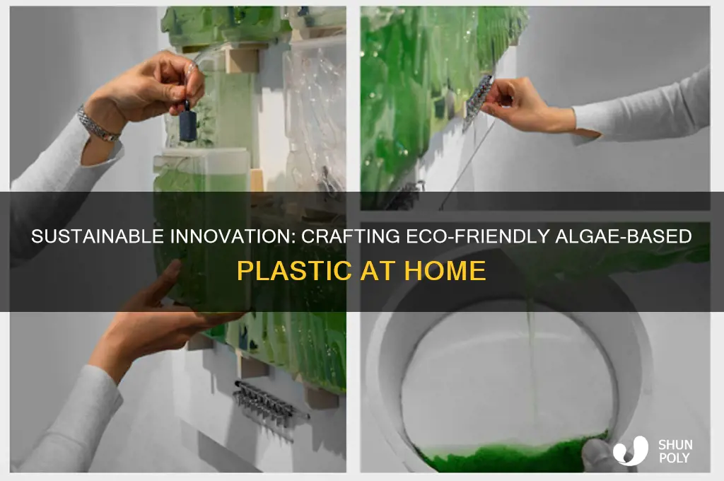 Sustainable Innovation: Crafting Eco-Friendly Algae-Based Plastic At ...