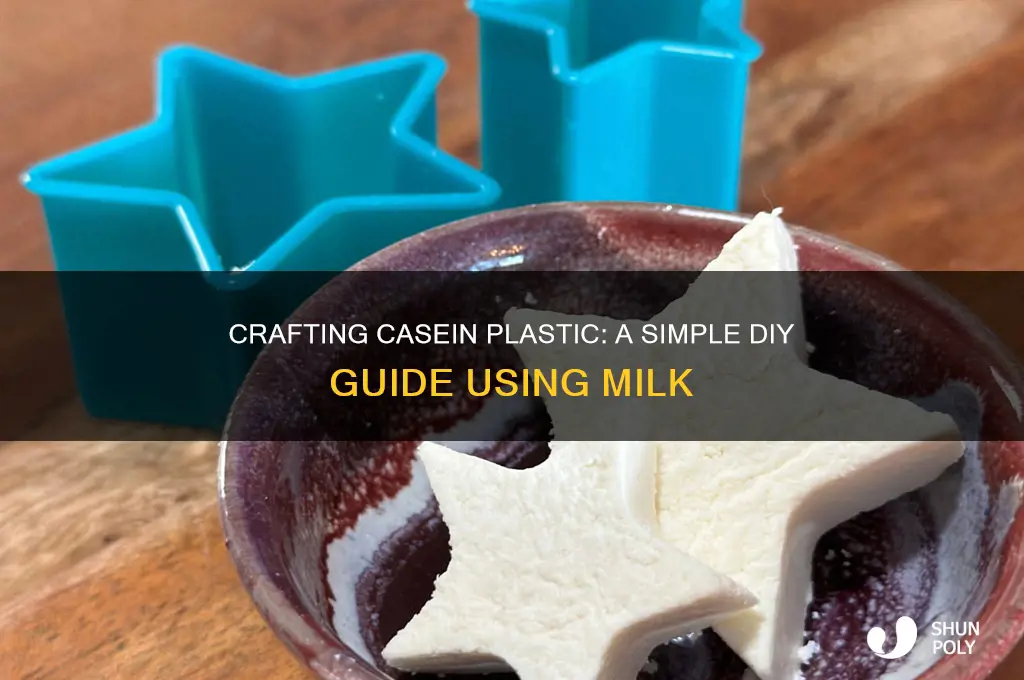 Crafting Casein Plastic: A Simple Diy Guide Using Milk | ShunPoly