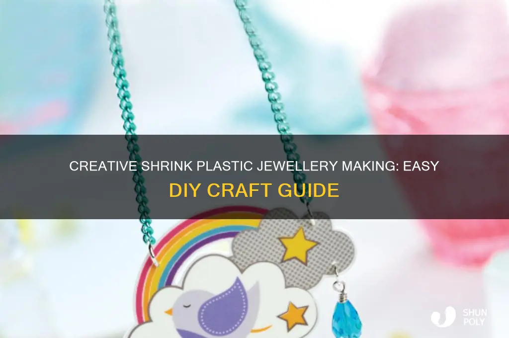 Creative Shrink Plastic Jewellery Making: Easy Diy Craft Guide | ShunPoly