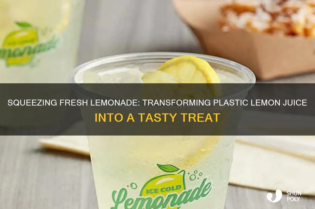 Squeezing Fresh Lemonade: Transforming Plastic Lemon Juice Into A Tasty ...