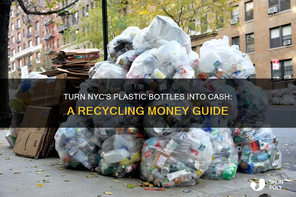 Turn Nyc's Plastic Bottles Into Cash: A Recycling Money Guide | ShunPoly