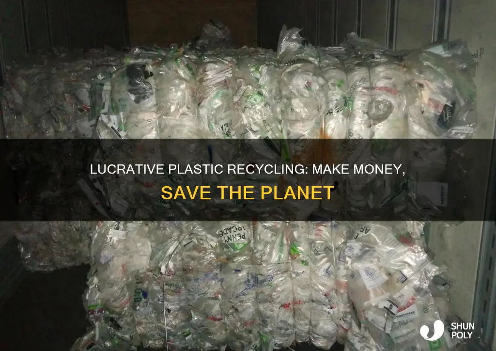 Lucrative Plastic Recycling: Make Money, Save The Planet | ShunPoly