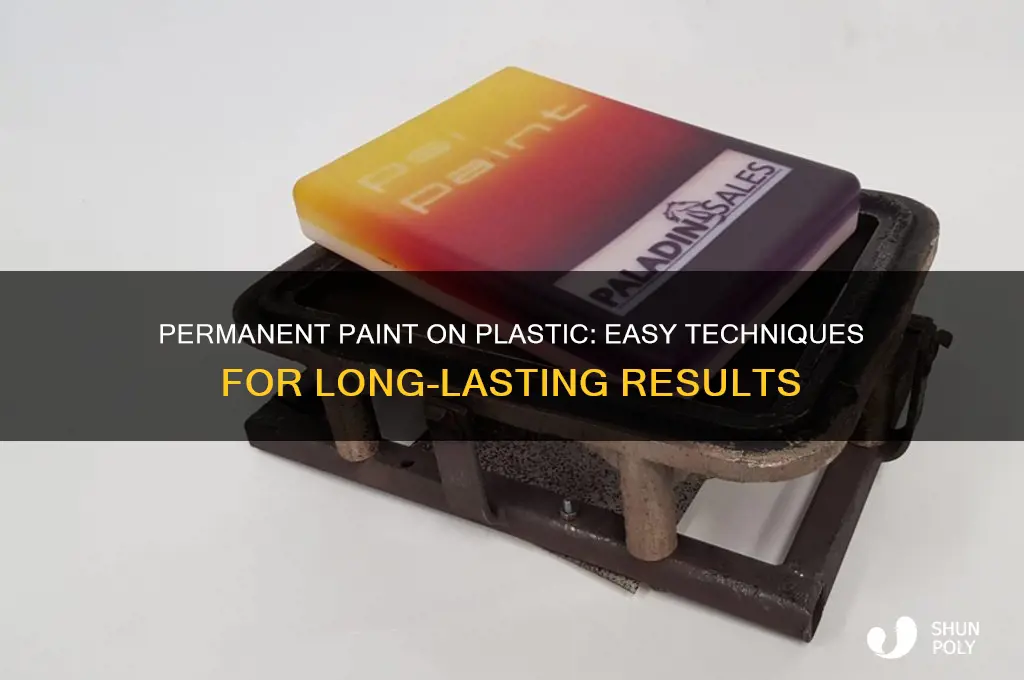 Permanent Paint On Plastic: Easy Techniques For Long-Lasting Results ...