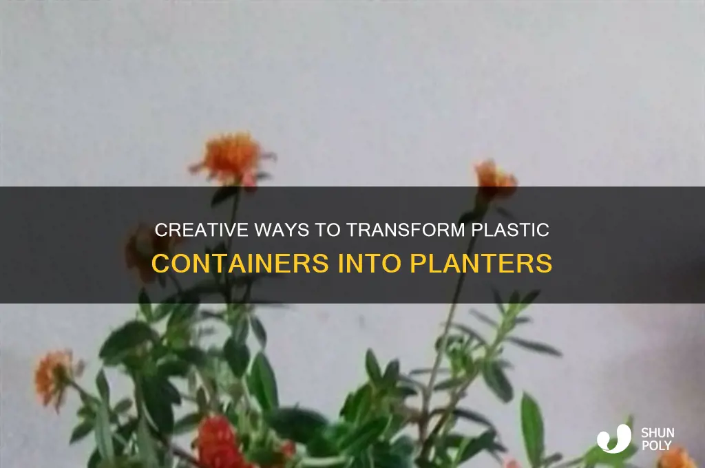 Creative Ways To Transform Plastic Containers Into Planters | ShunPoly