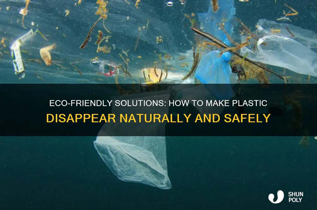 Eco-Friendly Solutions: How To Make Plastic Disappear Naturally And ...