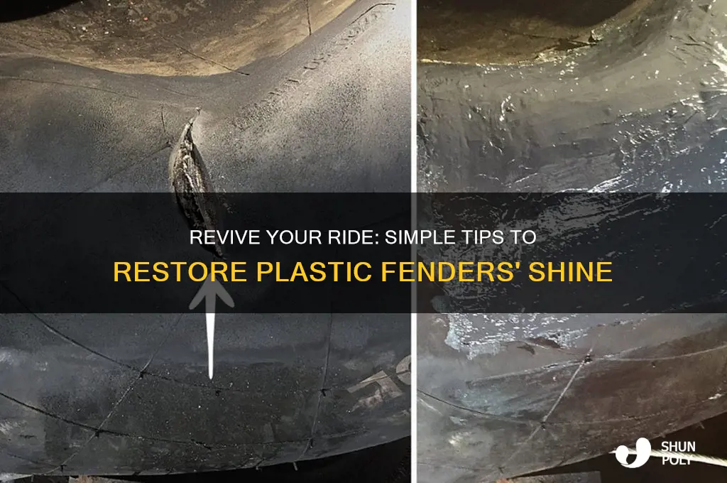 Revive Your Ride: Simple Tips To Restore Plastic Fenders' Shine | ShunPoly