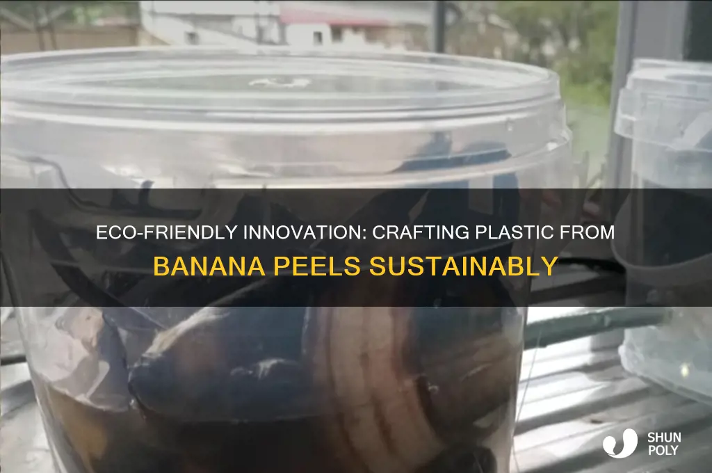 Eco-Friendly Innovation: Crafting Plastic From Banana Peels Sustainably ...