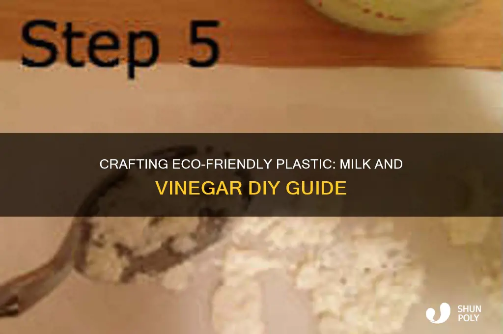 Crafting Eco-Friendly Plastic: Milk And Vinegar Diy Guide | ShunPoly