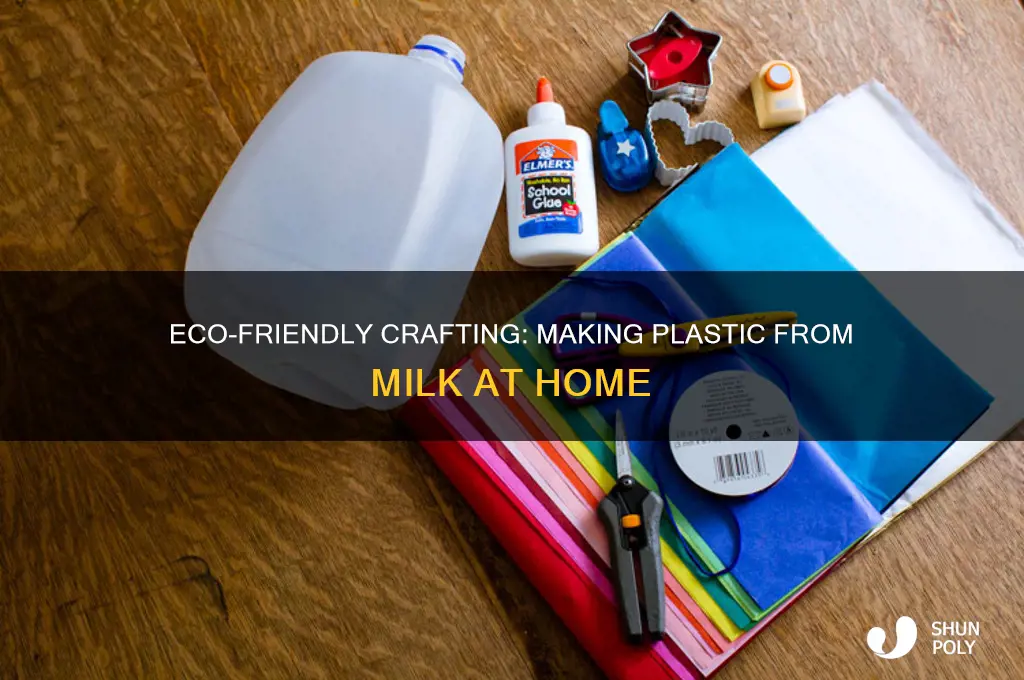 Eco-Friendly Crafting: Making Plastic From Milk At Home | ShunPoly