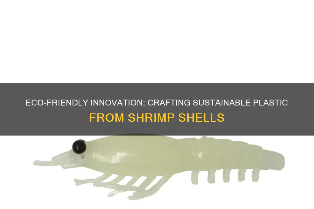 Eco-Friendly Innovation: Crafting Sustainable Plastic From Shrimp ...