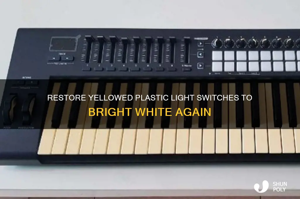 Restore Yellowed Plastic Light Switches To Bright White Again | ShunPoly