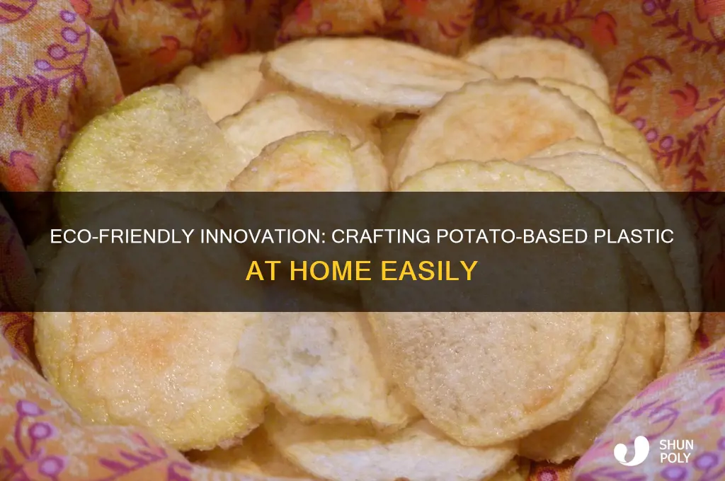 Eco-Friendly Innovation: Crafting Potato-Based Plastic At Home Easily ...