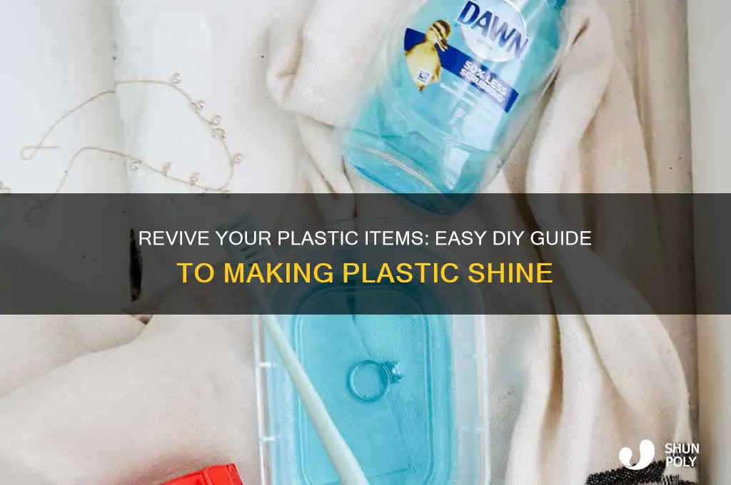 Revive Your Plastic Items: Easy Diy Guide To Making Plastic Shine ...